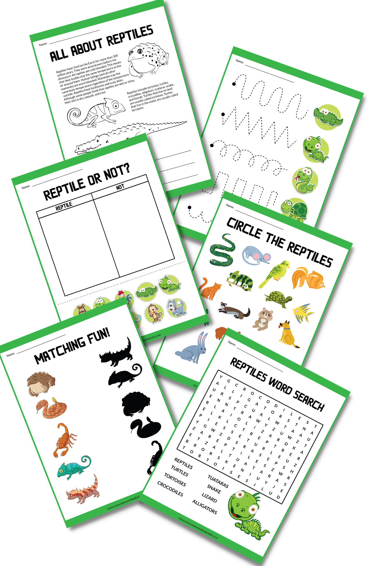 Reptile Worksheets For Kindergarten Best Worksheet 14 Best Images Of
